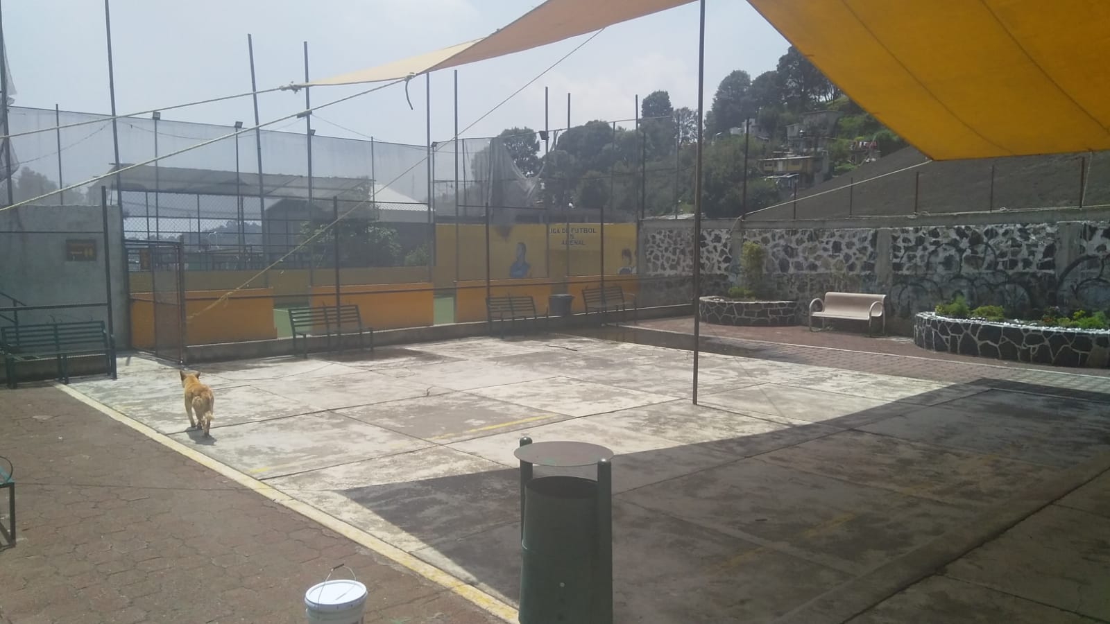 El Parque Ecoturístico El Arenal se reactiva con talleres artísticos y ...